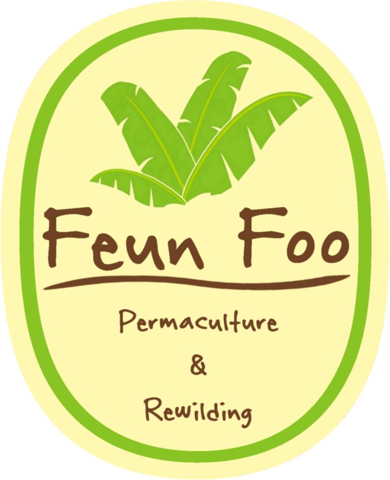 The Birth of a New Project: Feun Foo Permaculture & Rewilding | Feun ...
