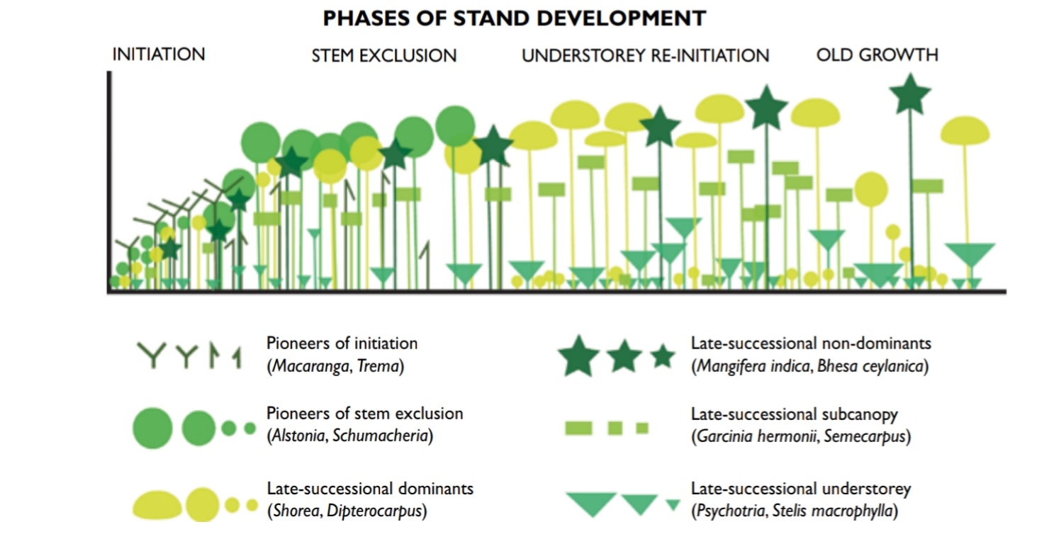 The Feun Foo Forest Restoration Project | Feun Foo Permaculture ...